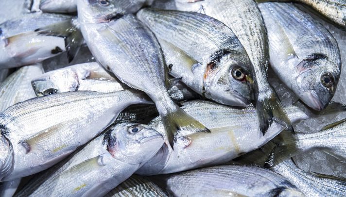 Ricette con Orata | Buonissimo