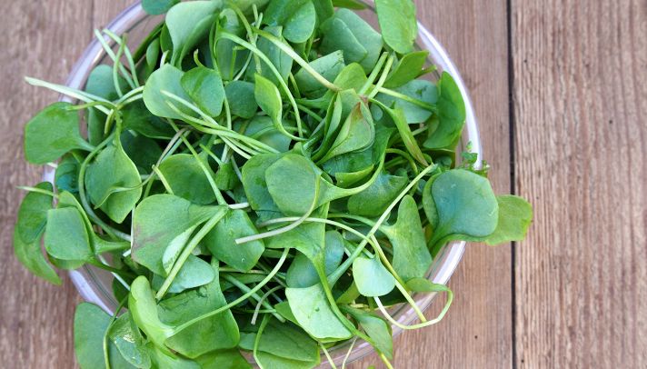 Ricette con Crescione | Buonissimo