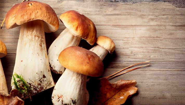 Ricette con Funghi | Buonissimo