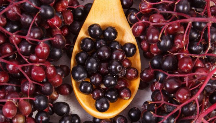 Ricette con Bacche di sanbuco | Buonissimo