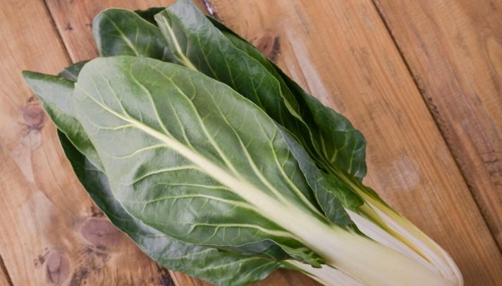 Ricette con Bietole | Buonissimo