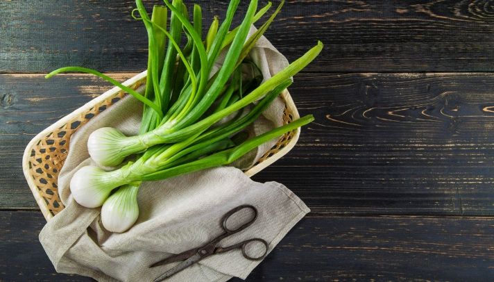 Ricette con Cipollotto | Buonissimo