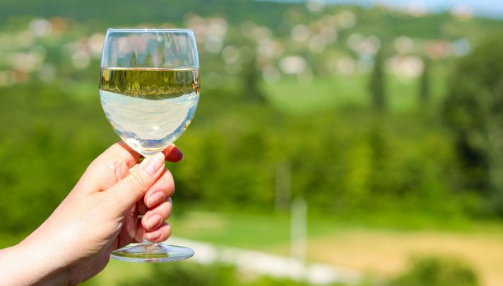 Ricette abbinate a Erice DOC Sauvignon | Buonissimo
