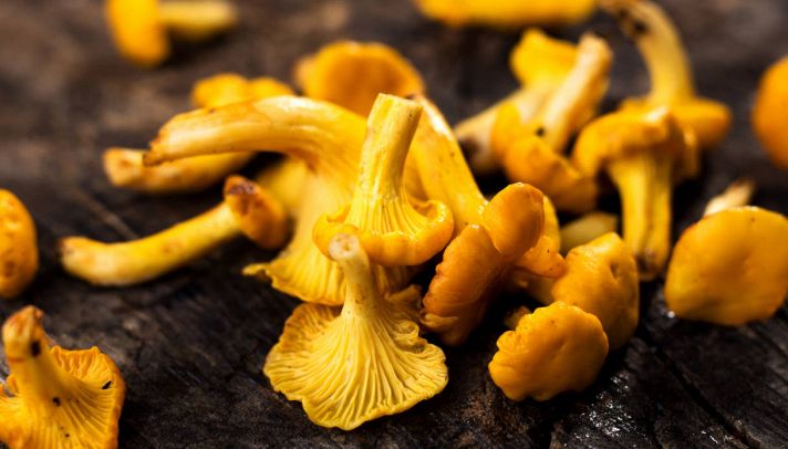 Ricette con Funghi gallinacci | Buonissimo