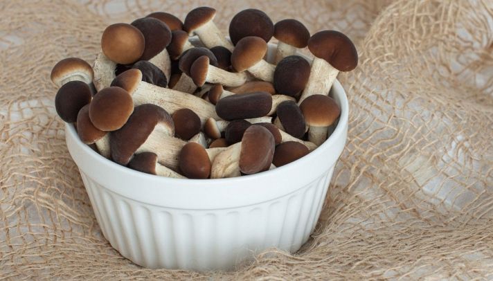 Ricette con Funghi pioppini | Buonissimo