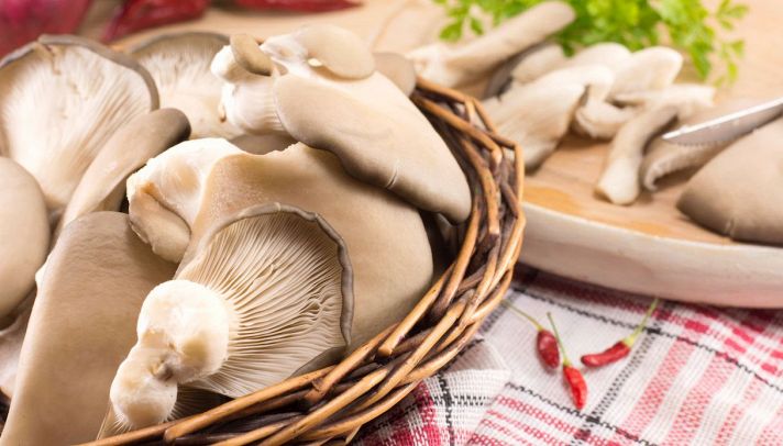 Ricette con Funghi pleurotus | Buonissimo