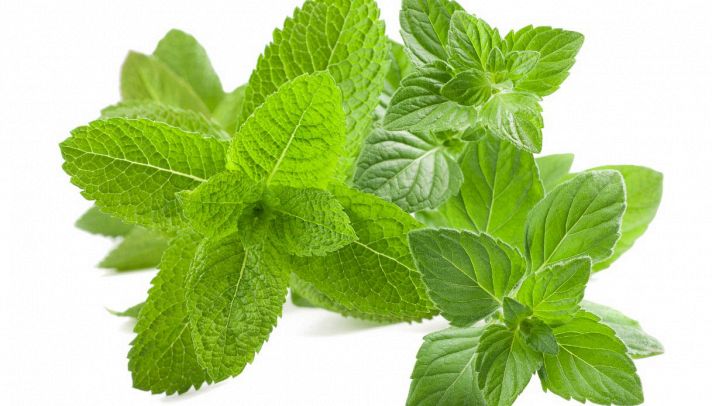 Ricette con Mentuccia | Buonissimo