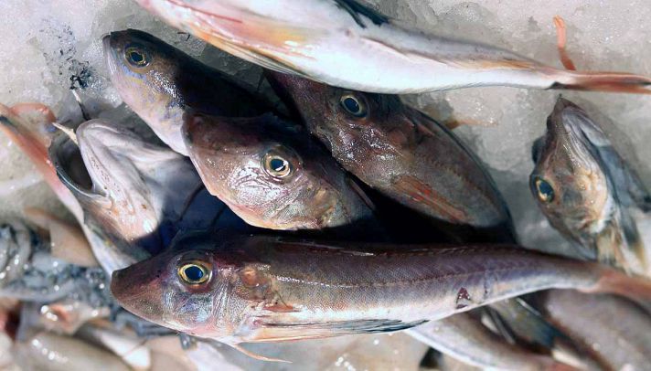 Ricette con Pesce angelo | Buonissimo