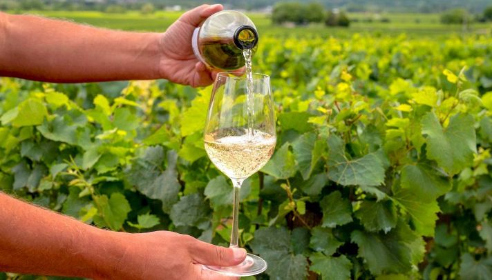 Ricette abbinate a Erice DOC Chardonnay | Buonissimo