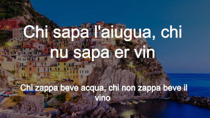 Chi sapa l'aiugua, chi nu sapa er vin: cosa significa?