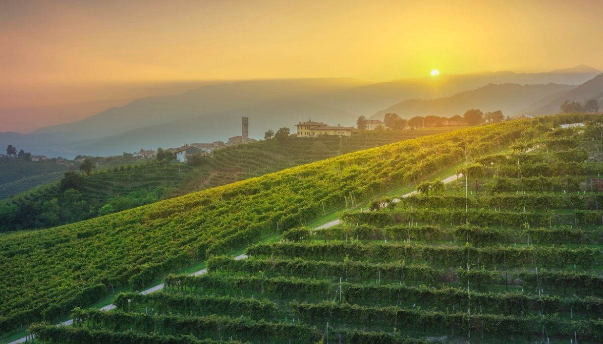 Le più belle strade del vino in Italia