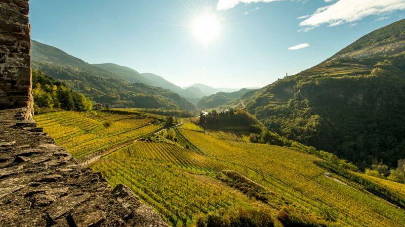 Paesaggi rurali storici d'Italia: le 9 new entry