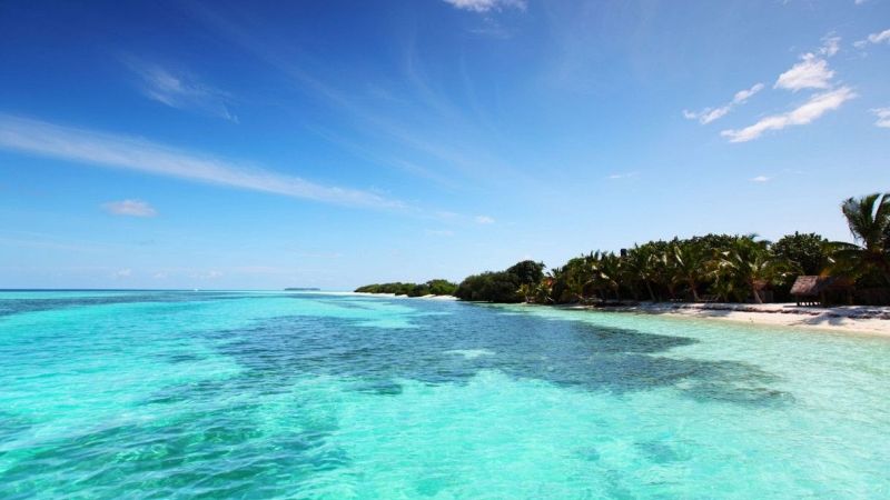 I Tropici erano a Possagno: lo svela una conchiglia da record