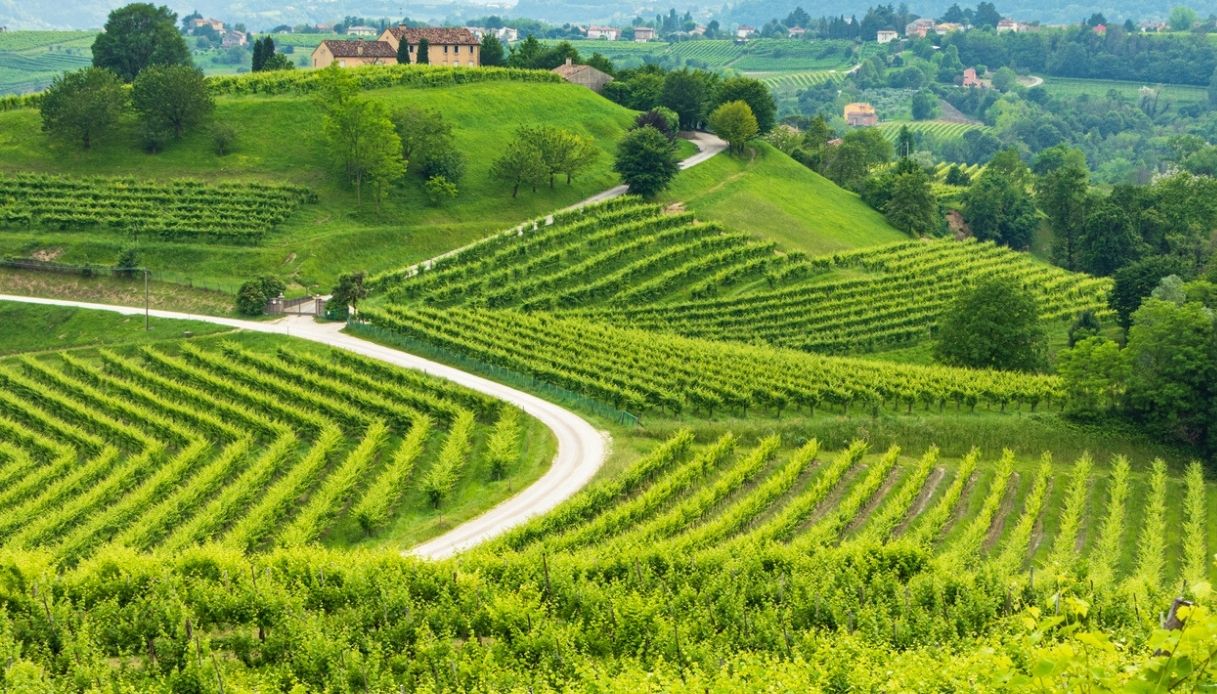 Colline del Prosecco, tra Conegliano e Valdobbiadene: cosa vedere