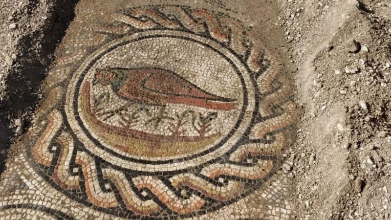 Negrar Valpolicella, nuova scoperta alla Villa delle Meraviglie