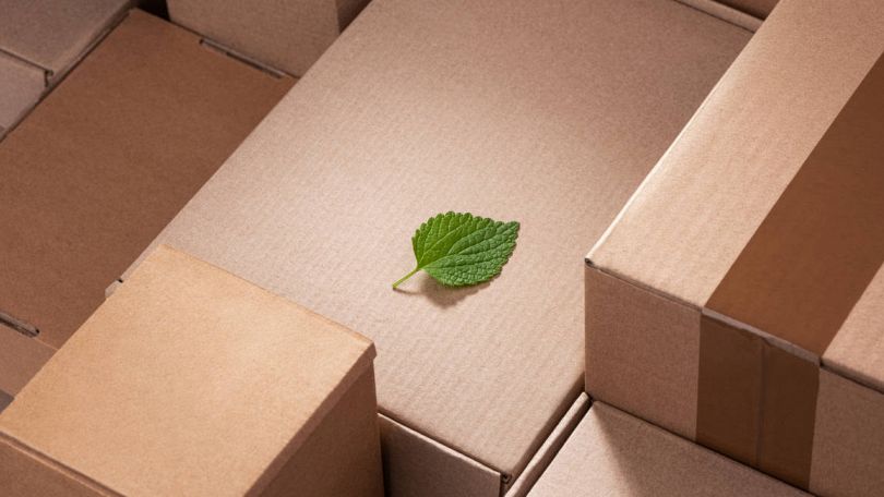 MEPA: cos’è, a cosa serve e come ci si iscrive