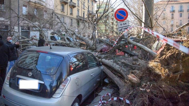 Vento forte a Milano e nel Nord Italia, raffiche oltre i 100 km/h: cosa ...