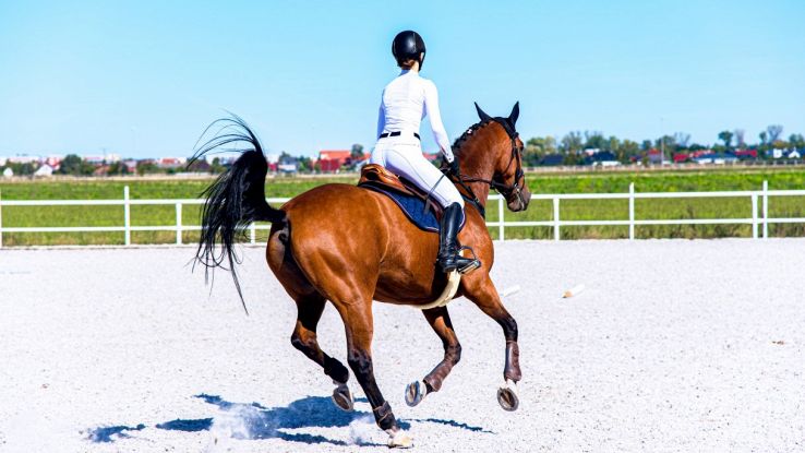 Porto Torres, Martina Berluti morta a 17 anni: è caduta da cavallo ...