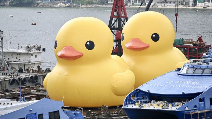 Il video della papera gialla gigante a Hong Kong con la sua gemella ...