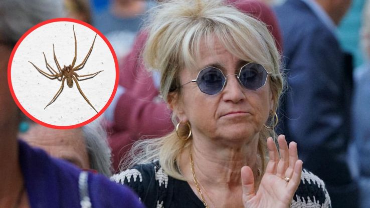 Luciana Littizzetto morsa da un ragno violino durante le riprese di Che ...