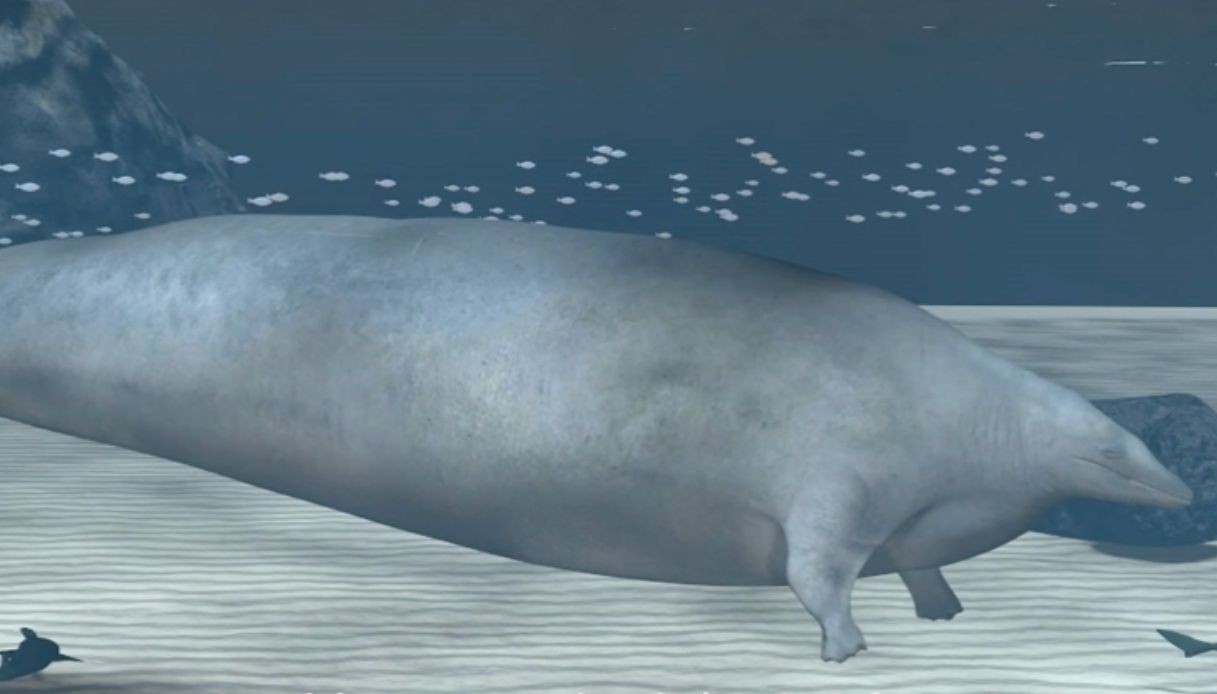 Scoperto il Perucetus Colossus ossia l'animale più pesante di sempre ...