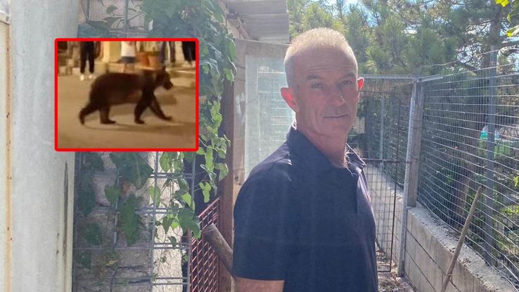 Minacciato di morte il 56enne che ha ucciso l'orsa Amarena: "Non dormo ...