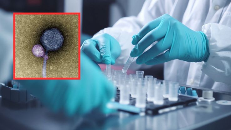 Cos'è il virus vampiro: perché si parla di segno del "morso" e qual è ...