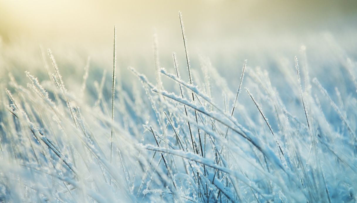 Freezing effect in arrivo in alcune regioni secondo le previsioni meteo ...