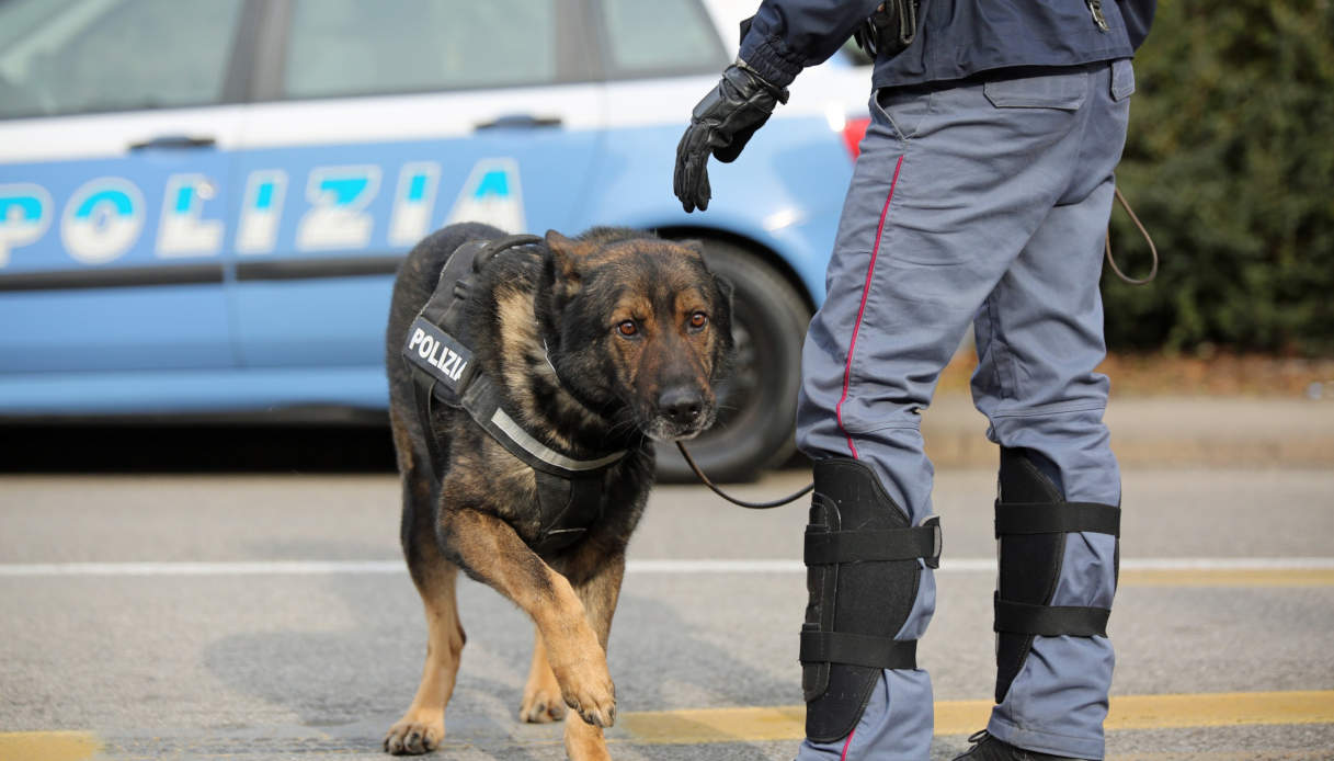 Uomo morto per ipotermia in Alto Adige dopo essere stato morso da ...