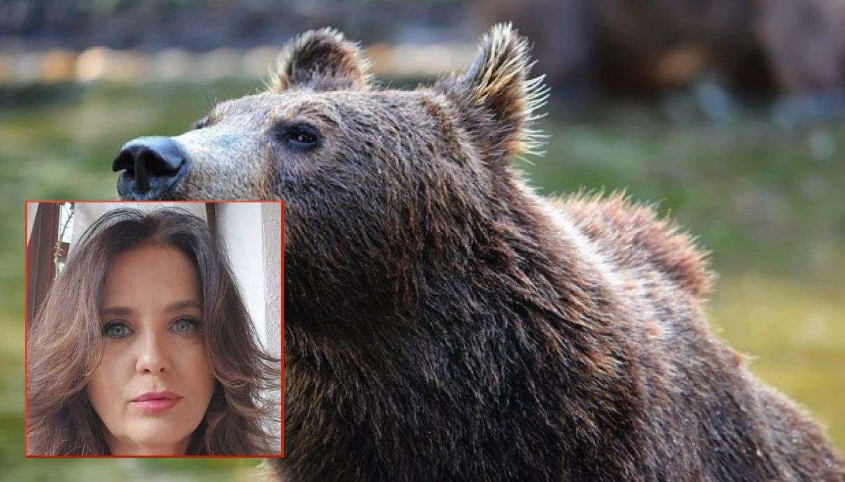 Procedimento della Rai contro la giornalista Silvia Di Tocco per la sua ...