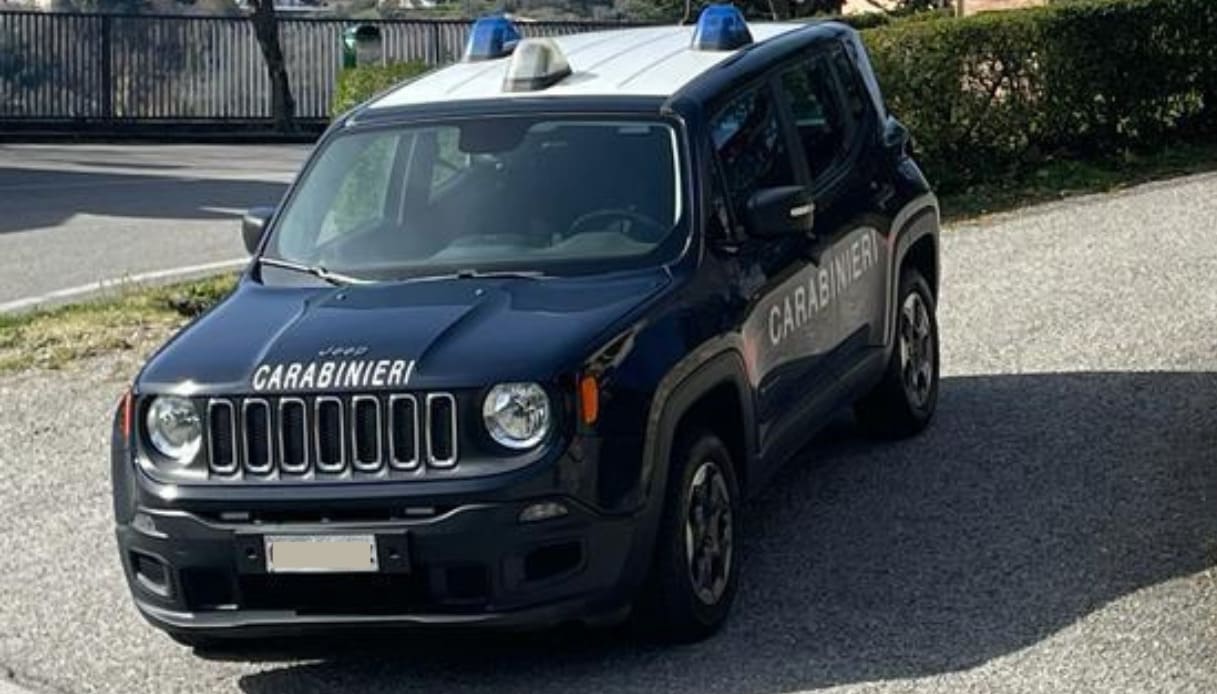 Donna morta investita da un'auto vicino Castel del Monte ad Andria ... Donna morta investita da un'auto vicino Castel del Monte ad Andria ...