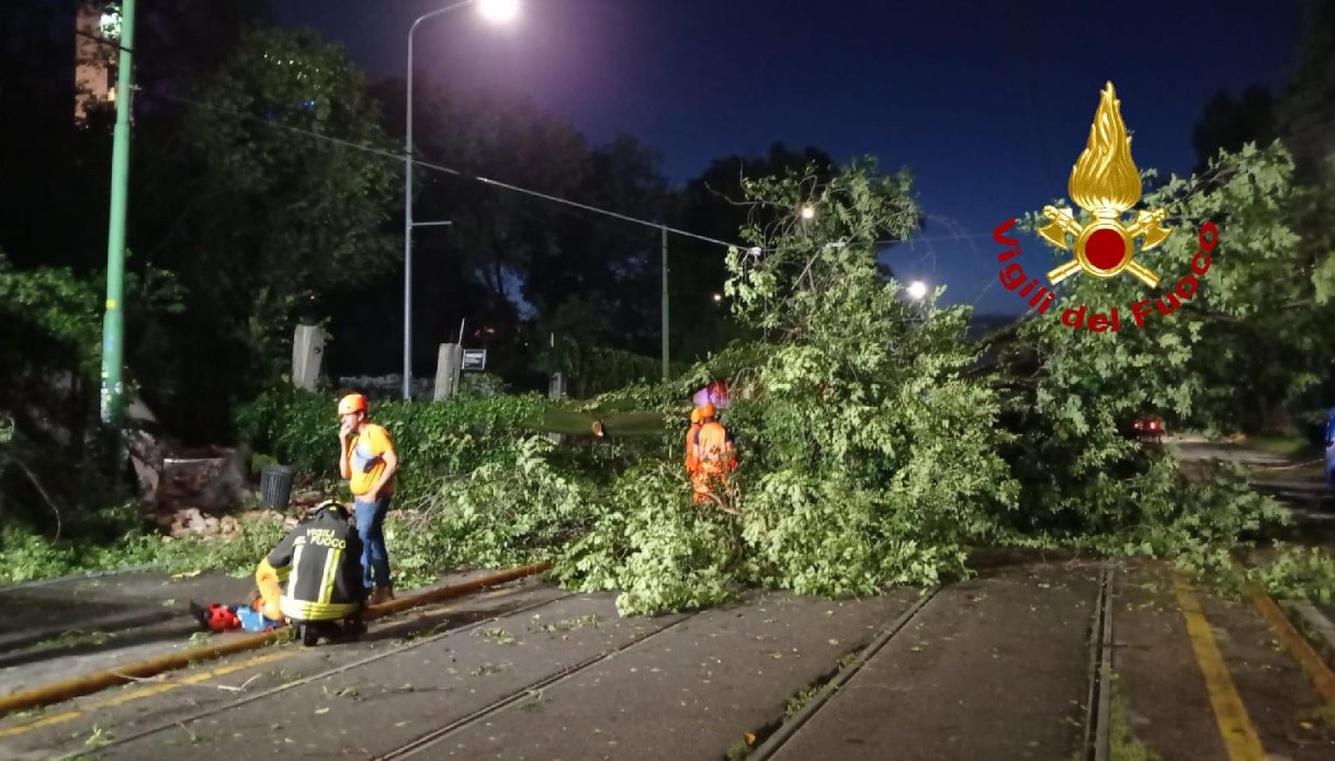 Temporale a Milano, alberi caduti e un centinaio di interventi dei ...