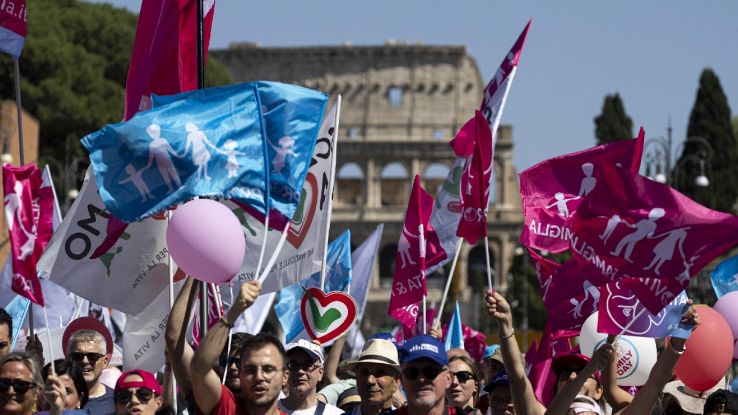 Pro Vita, migliaia di persone a Roma per il corteo contro l'aborto ...