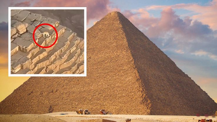 Cane scala la piramide di Giza in Egitto, il monumento è alto 140 metri ...