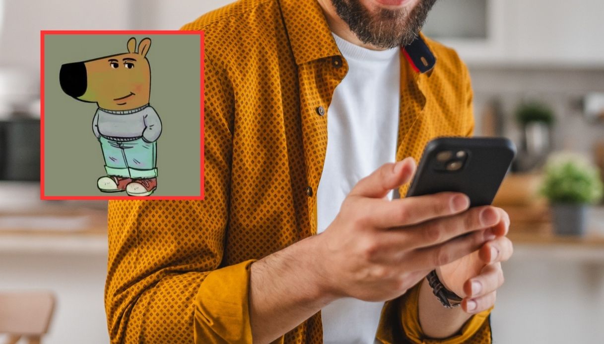 Il meme del cane "Just a chill guy" spopola su TikTok: qual è il ...