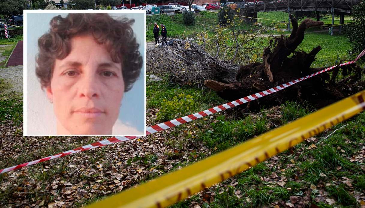 Albero crolla e uccide Francesca Ianni a Colli Aniene. Testimonianze ...