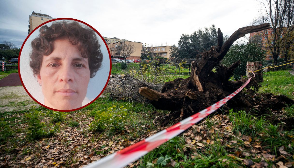 Francesca Ianni morta a Roma schiacciata da un albero: chi era l ...