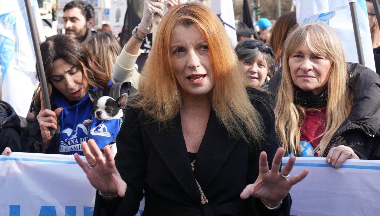 Report contro Michela Brambilla sulla onlus Leidaa usata come bancomat e la dichiarazione dei ...