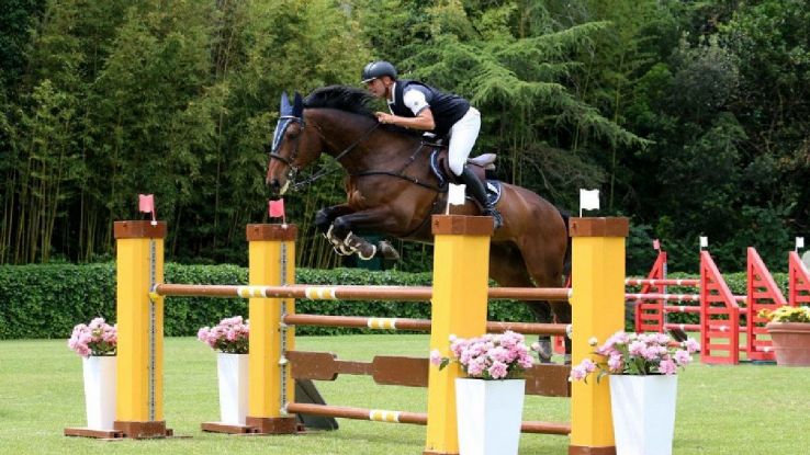 Il cavaliere Stefano Margheriti cade da cavallo al Versilia Horse Show ...