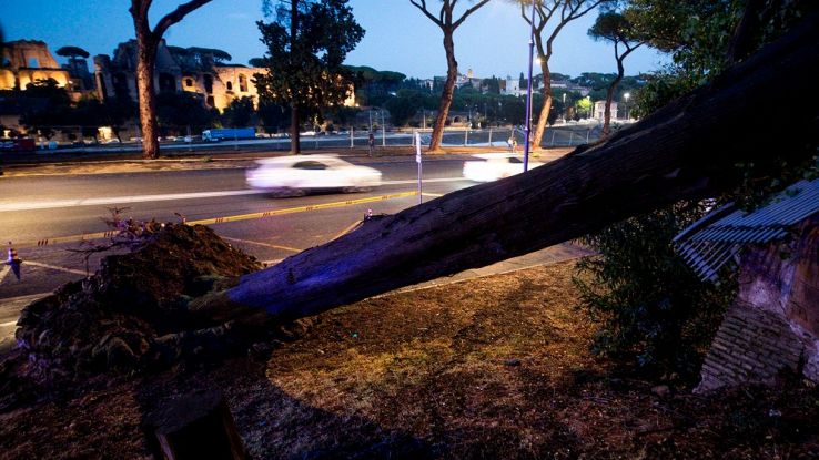 Nubifragio e violento temporale a Roma, alberi caduti in strada e ...