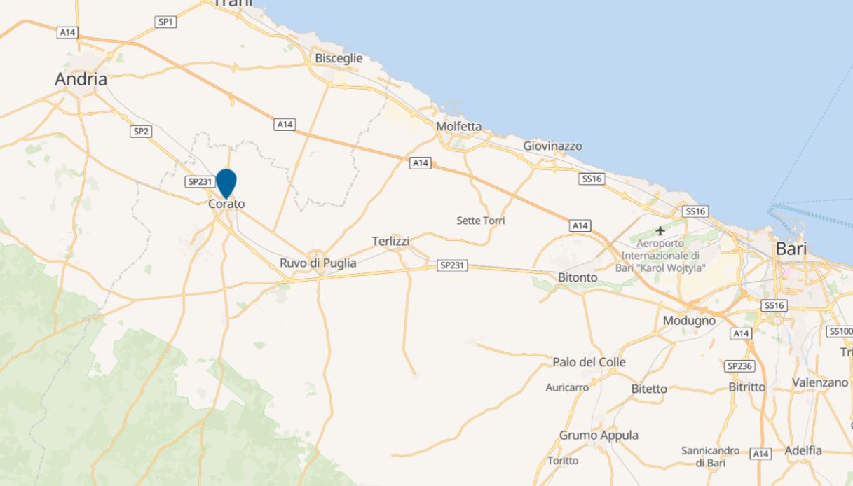 Auto fuori strada a Corato per evitare animale, morto bimbo di 5 mesi ...