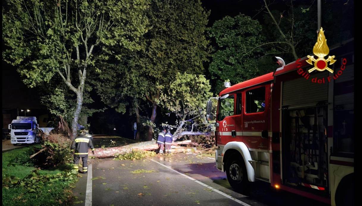 Maltempo in Veneto con tromba d'aria tra Verona e Vicenza, alberi ...