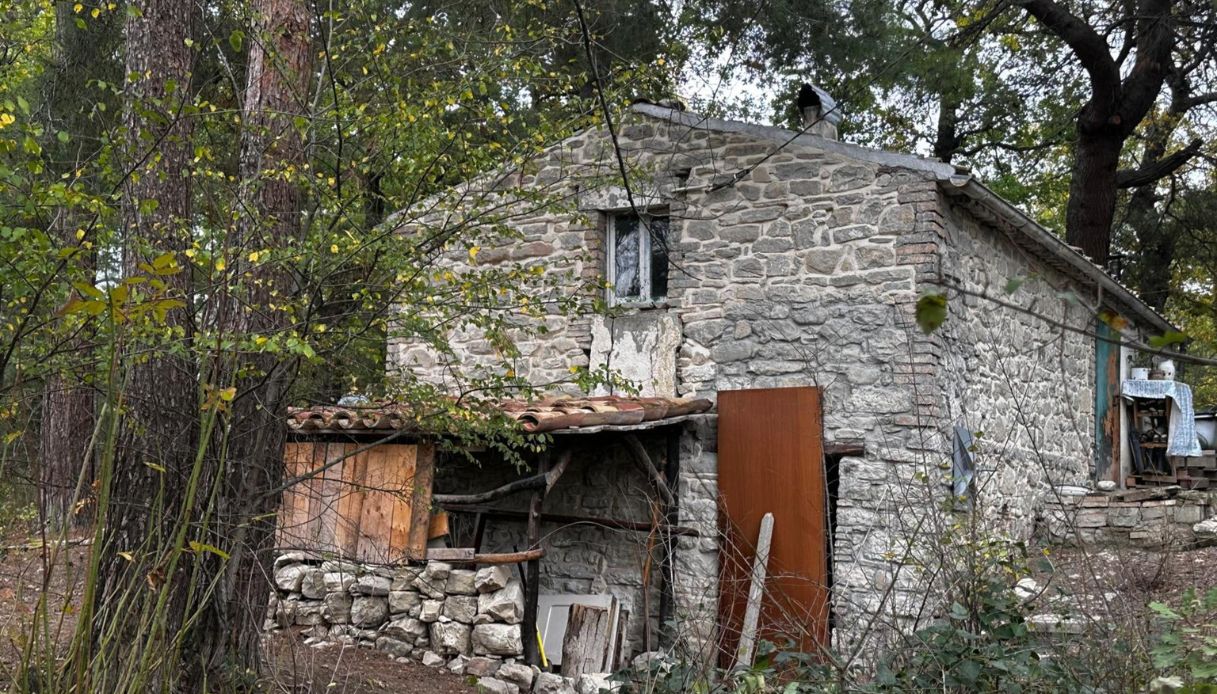 Famiglia nel bosco, Marco Femminella e Danila Solinas nuovi avvocati ...