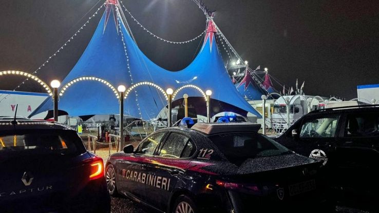 Stuntman morto al circo a Sant’Anastasia vicino Napoli, il video dell ...