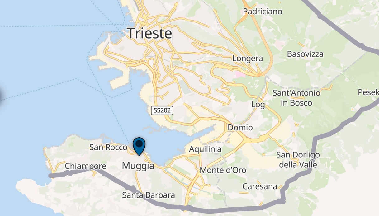 Omicidio a Muggia, bimbo di 9 anni morto accoltellato dalla madre ...