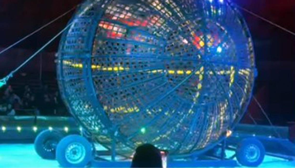 Stuntman morto al circo a Sant’Anastasia vicino Napoli, il video dell ...