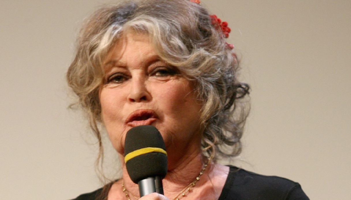 Cornudo consentido relato