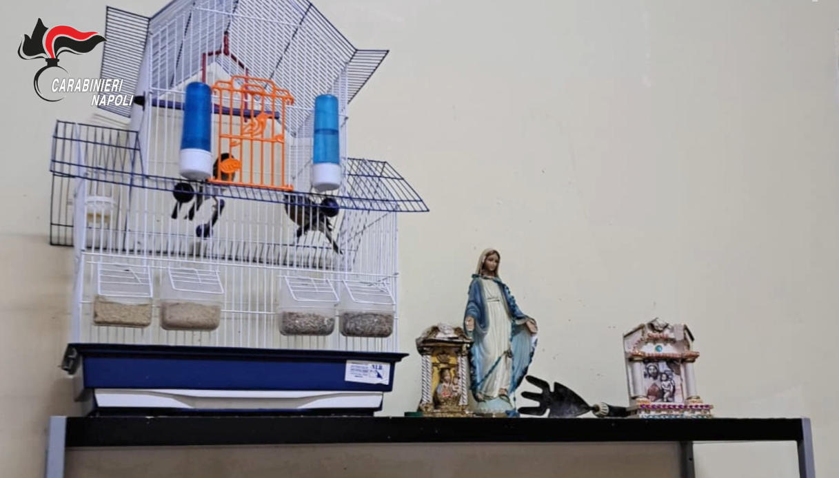 Ciro Andolfi arrestato a Napoli, tra i 100 latitanti più pericolosi ...