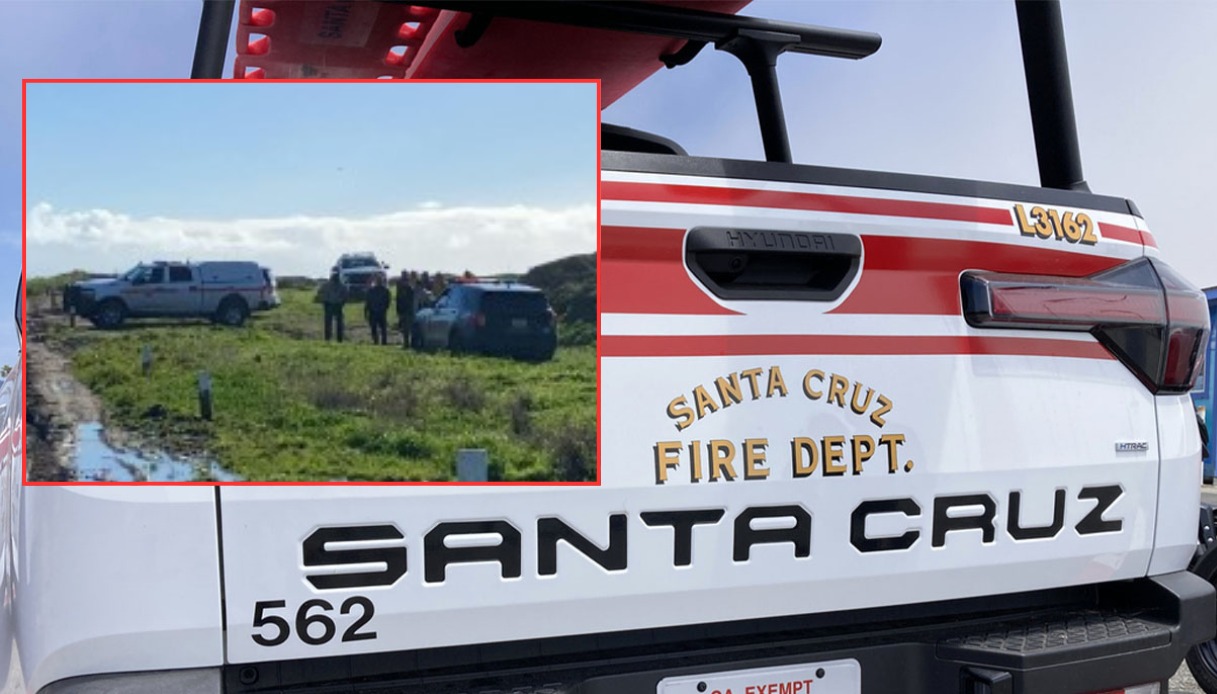 Erica Fox uccisa da uno squalo a Santa Cruz in California, resti dell ...