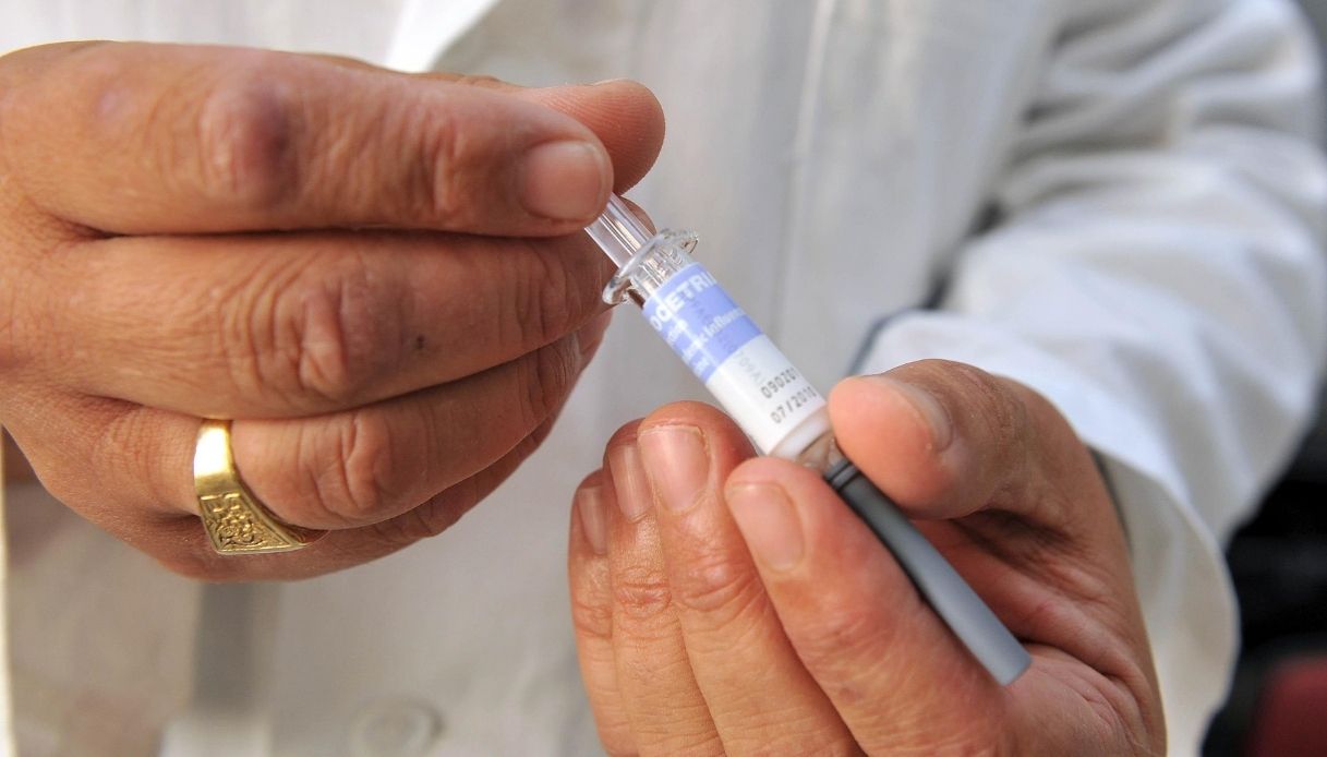 Virus influenzale H3N2 a sottotipo K, i sintomi della variante dalla ...